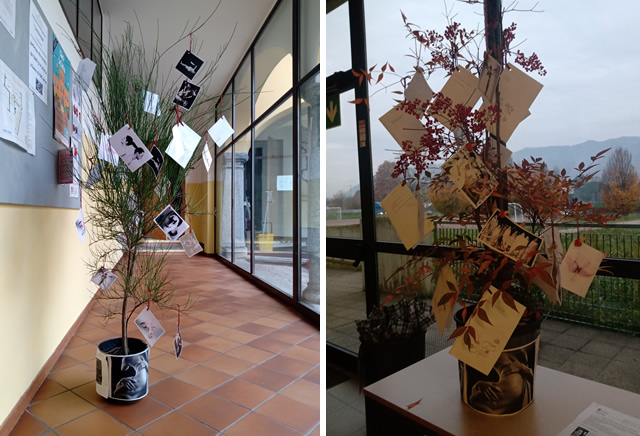 Calolzio: l'Ist. Rota dice NO alla violenza sulle donne con tre piante ...