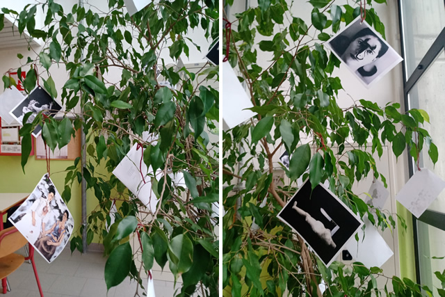 Calolzio: l'Ist. Rota dice NO alla violenza sulle donne con tre piante ...